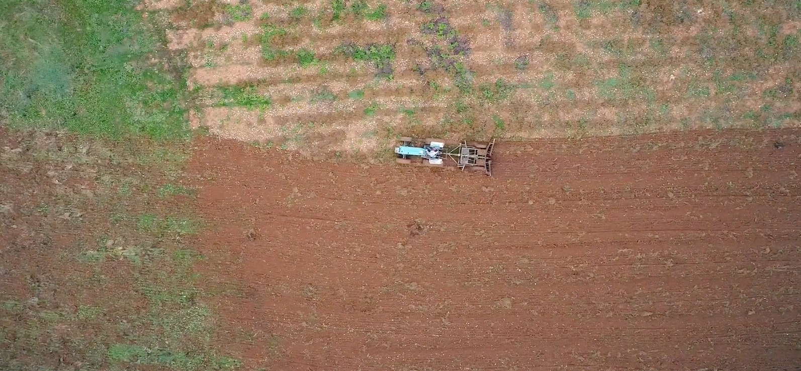 Amfissa Olive Grove | You Go Culture