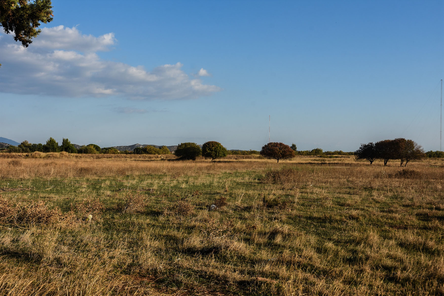 EUROPEAN BREAD MUSEUM OF VARNAVAS | You Go Culture