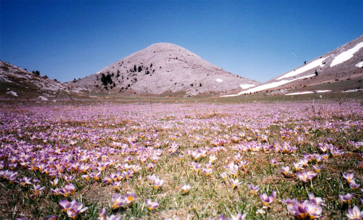 PARNON | You Go Culture