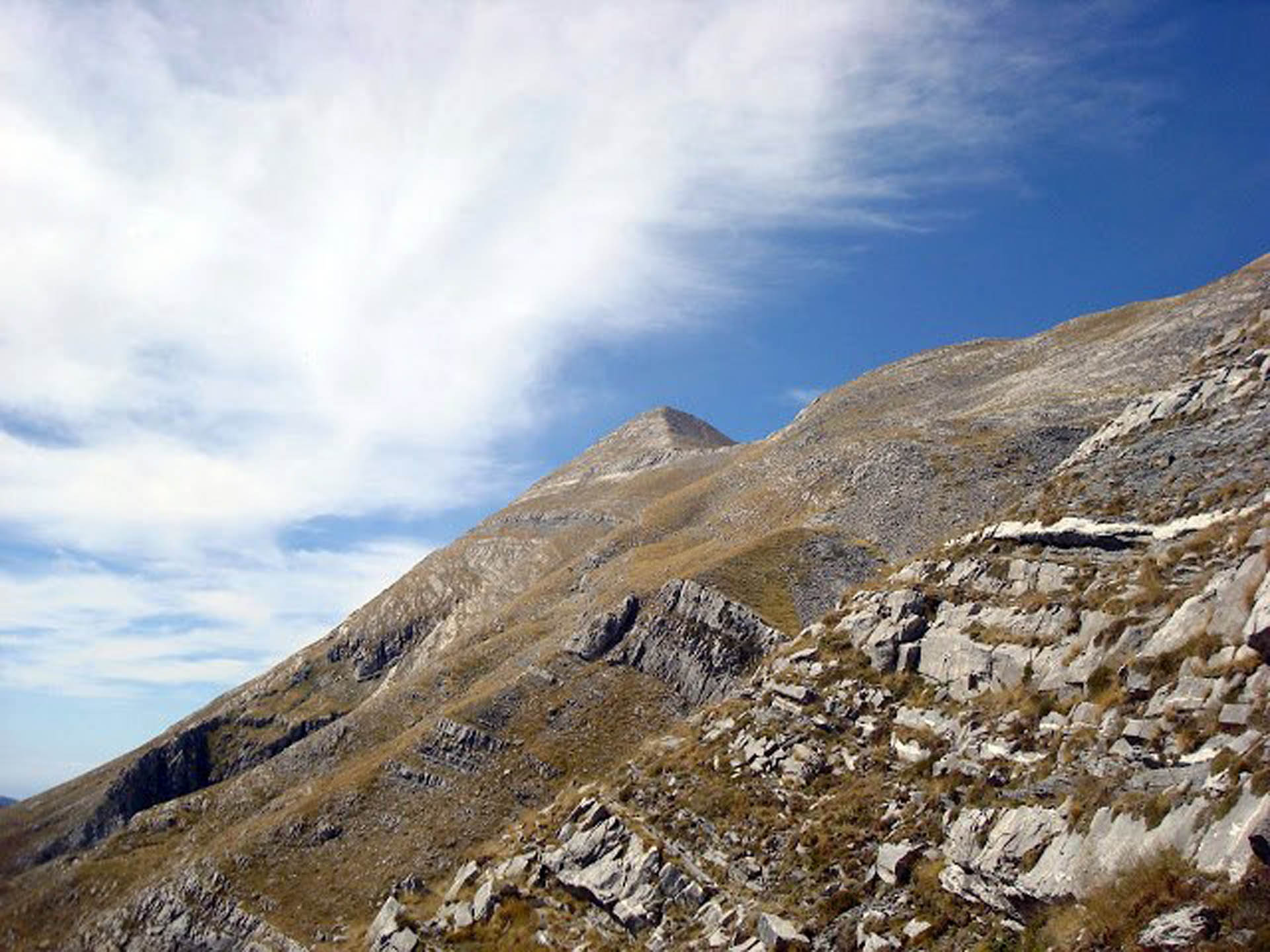 TAYGETUS | You Go Culture