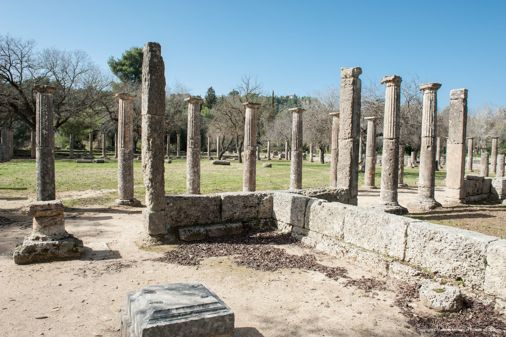 THE PALAESTRA | You Go Culture