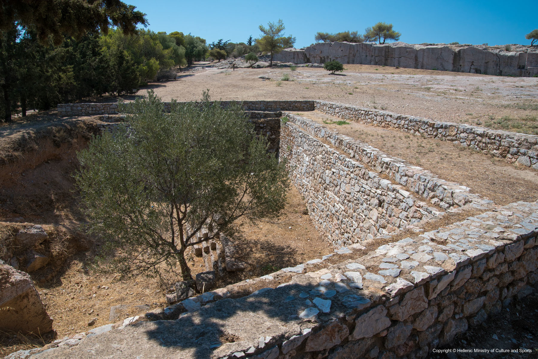 PNYX | You Go Culture