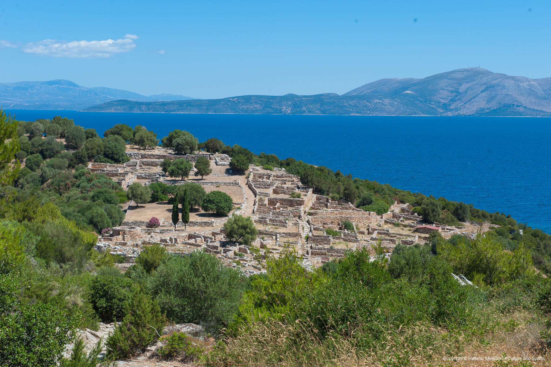 RHAMNOUS | You Go Culture