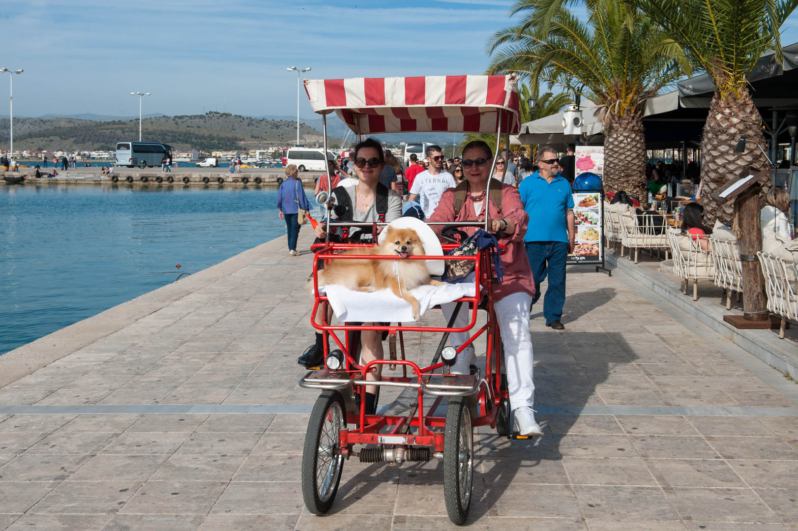 THE WATERFRONT - NAFPLIO'S PORT | You Go Culture